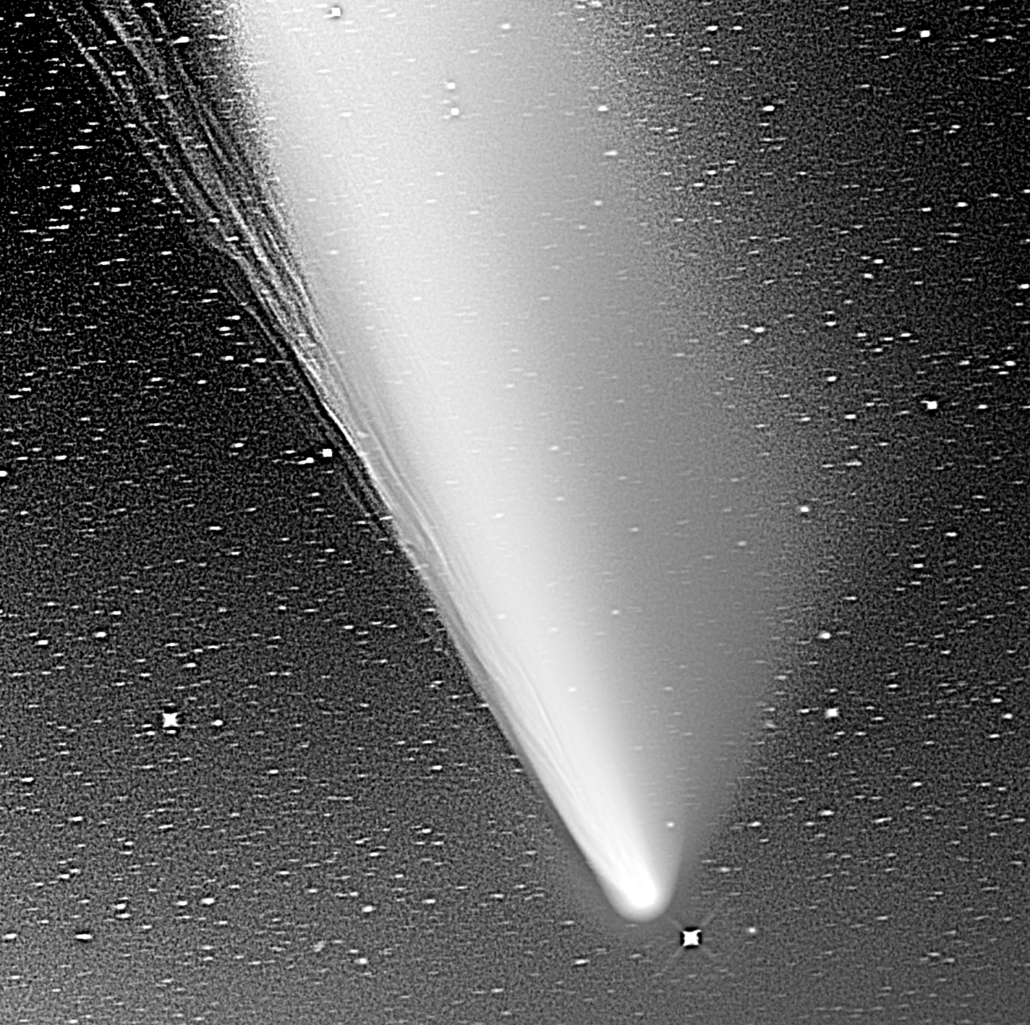 La comète C/2020 F3 (NEOWISE) – Société astronomique de France